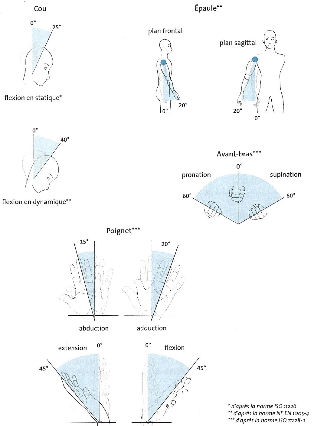 FMP Presanse - respecter les angles de confort articulaires